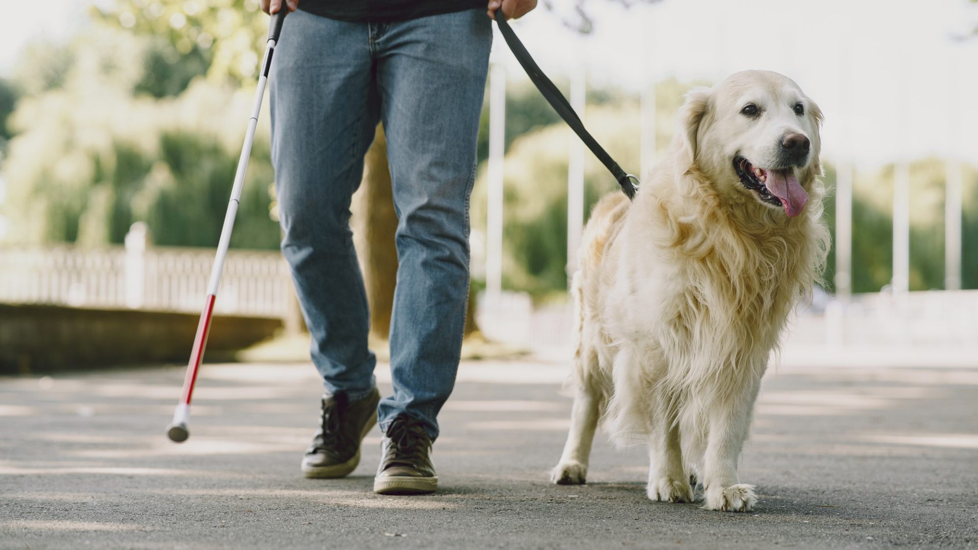 About CityPaws Animal Hospital - Uptown | Vet In Washington, DC 20008